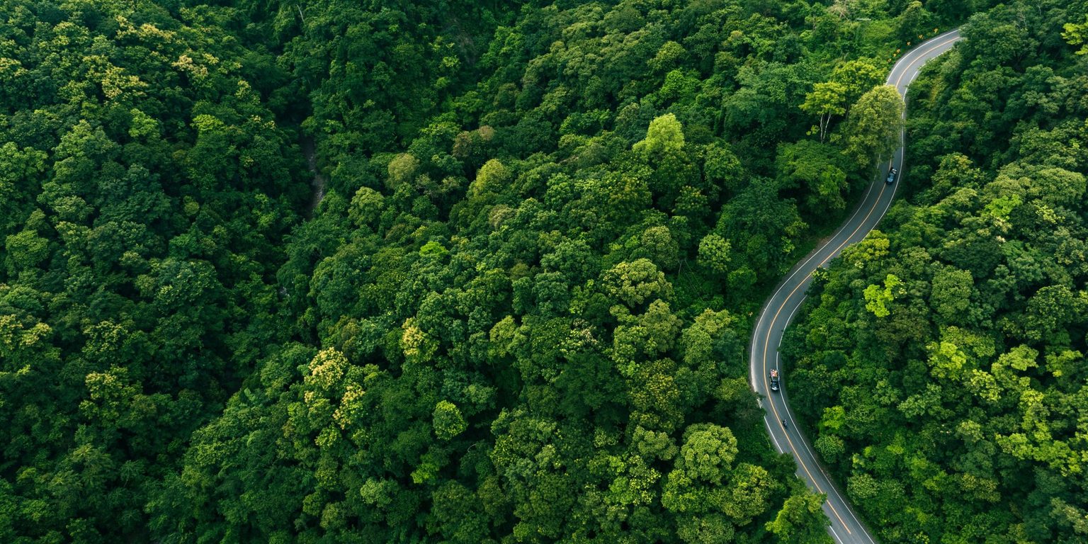 Movimiento ecologista - Concepto, objetivos y origen