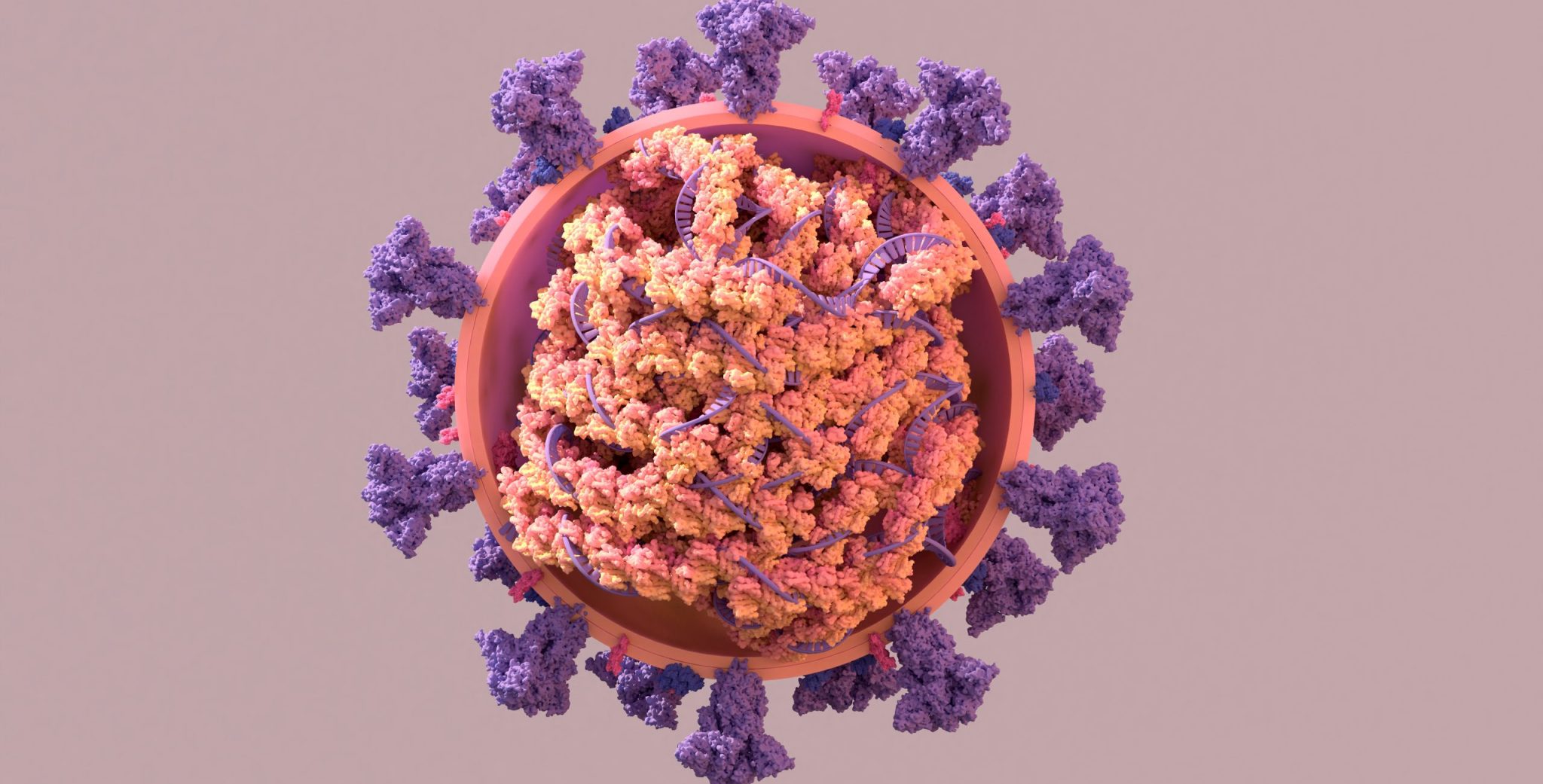 Virus (en biología) - Características, tipos y ejemplos