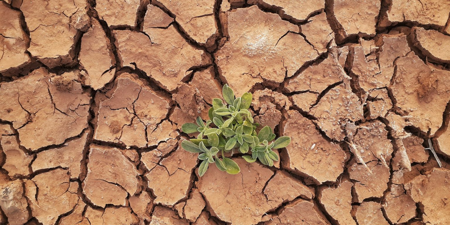 Calentamiento Global - Qué es, sus causas y consecuencias
