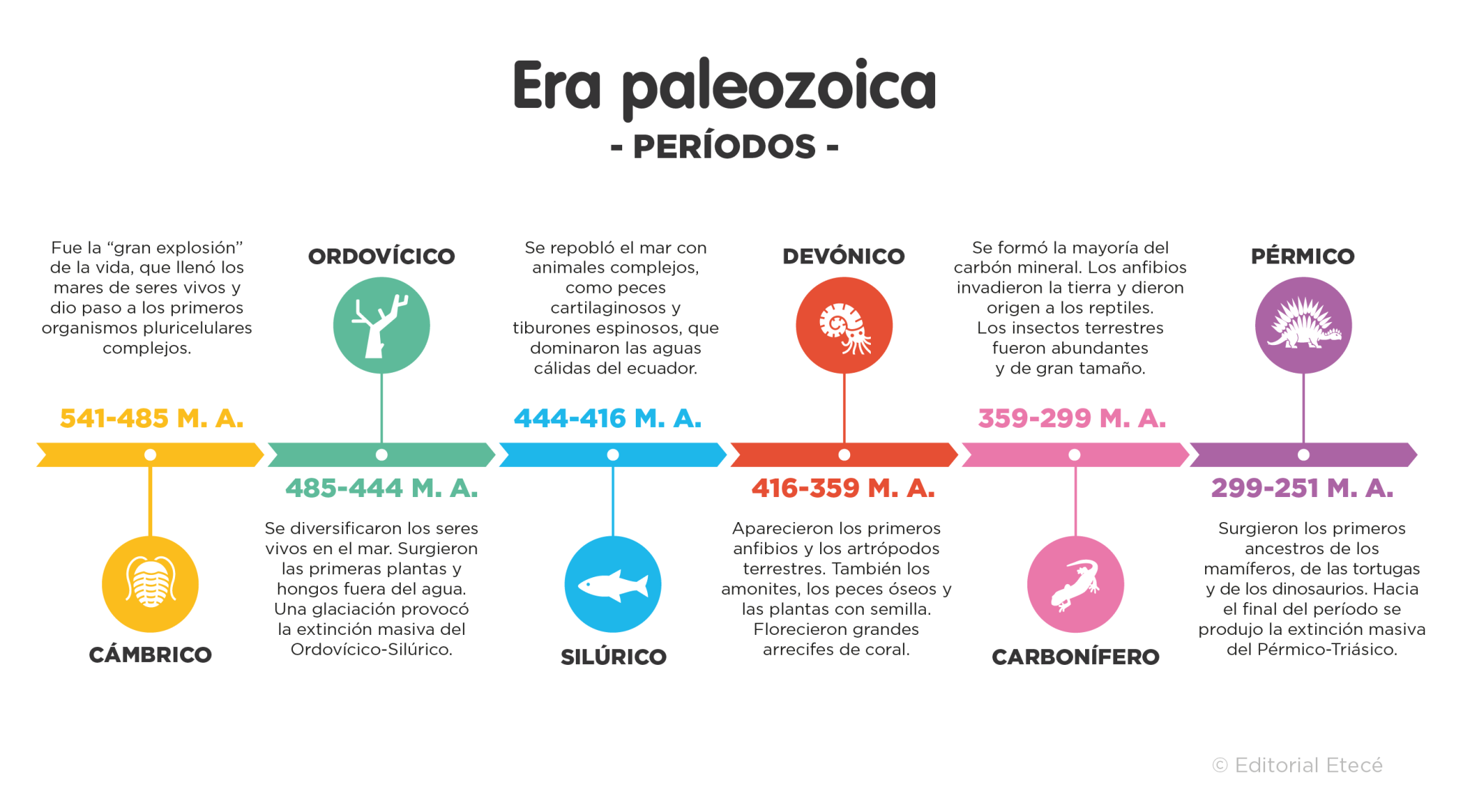 Las 5 Eras Geológicas | Eras Geológicas: Precámbrico, Paleozoico ...