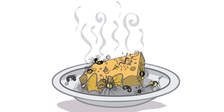 Teoría de la generación espontánea - Concepto y refutación