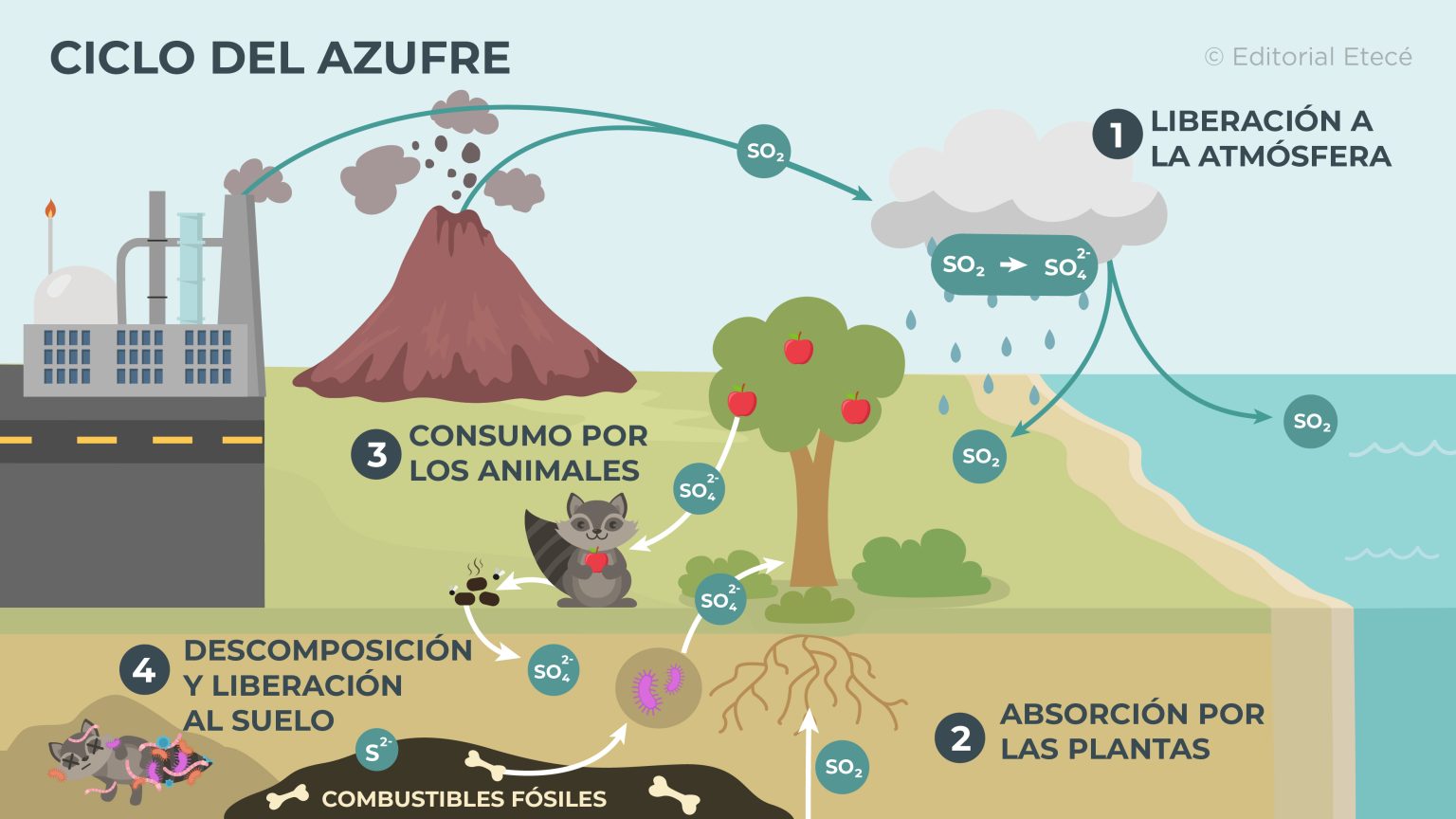 Azufre - Qué es, propiedades y para qué sirve