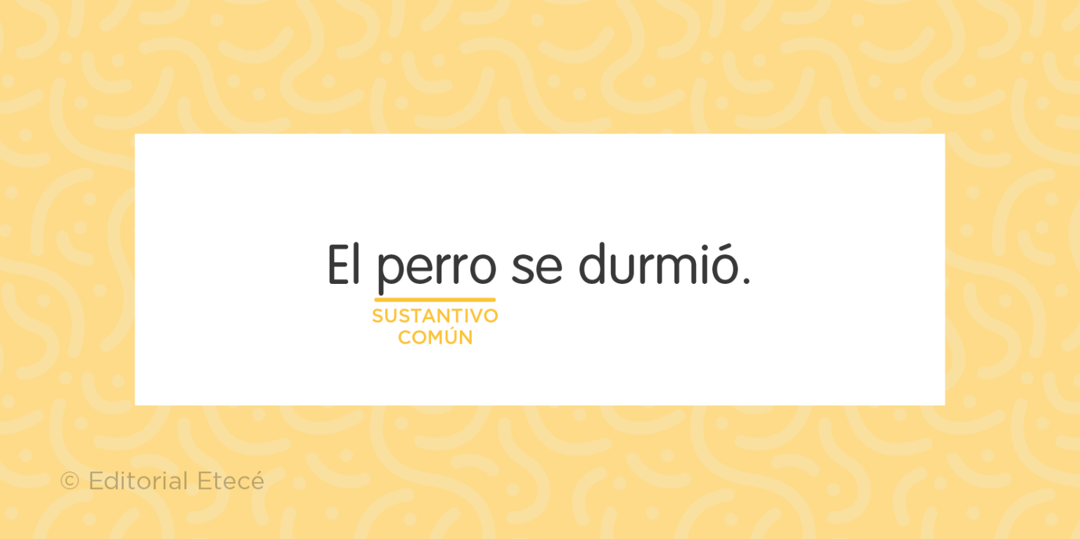 Sustantivos comunes - Qué son, tipos, ejemplos y oraciones