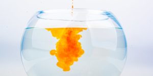 Mezcla Homogénea - Concepto, tipos y ejemplos