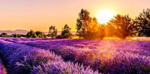 Energía Lumínica - Qué es, obtención, características y ejemplos