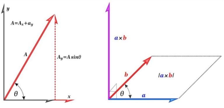 Vector - Qué es, características, sentido, tipos y ejemplos