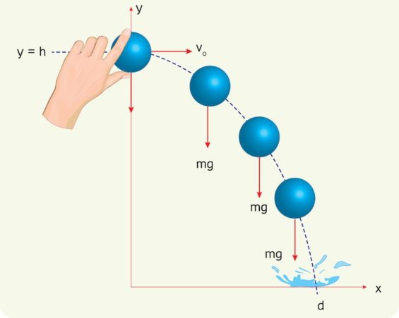 Vector - Qué es, características, sentido, tipos y ejemplos