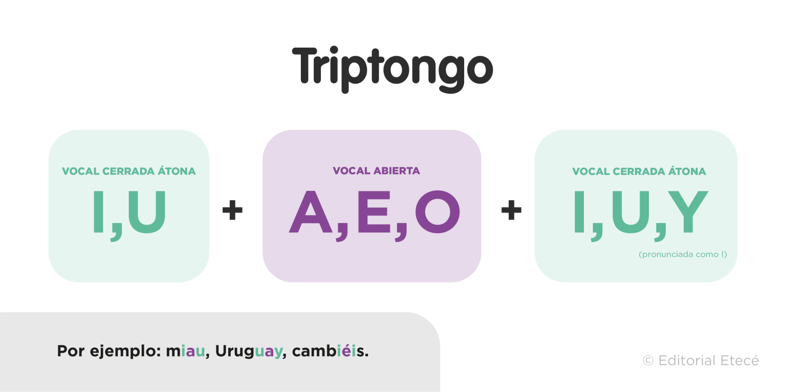 Triptongo - Qué es, ejemplos, oraciones y qué es un diptongo