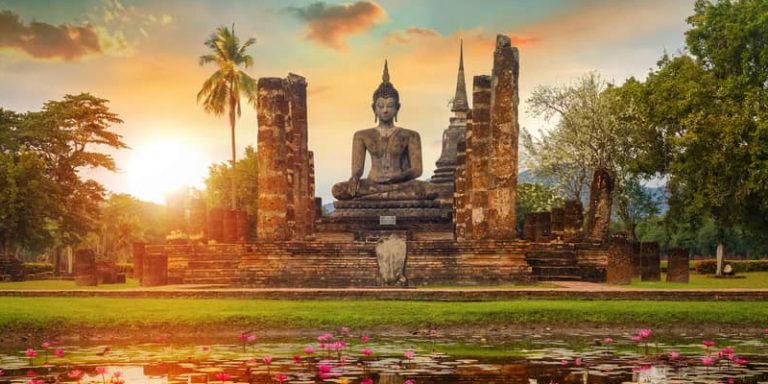 Acervo - Concepto, significado y qué es acerbo