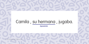 Aposiciones - Qué son, concepto, funciones y clasificación