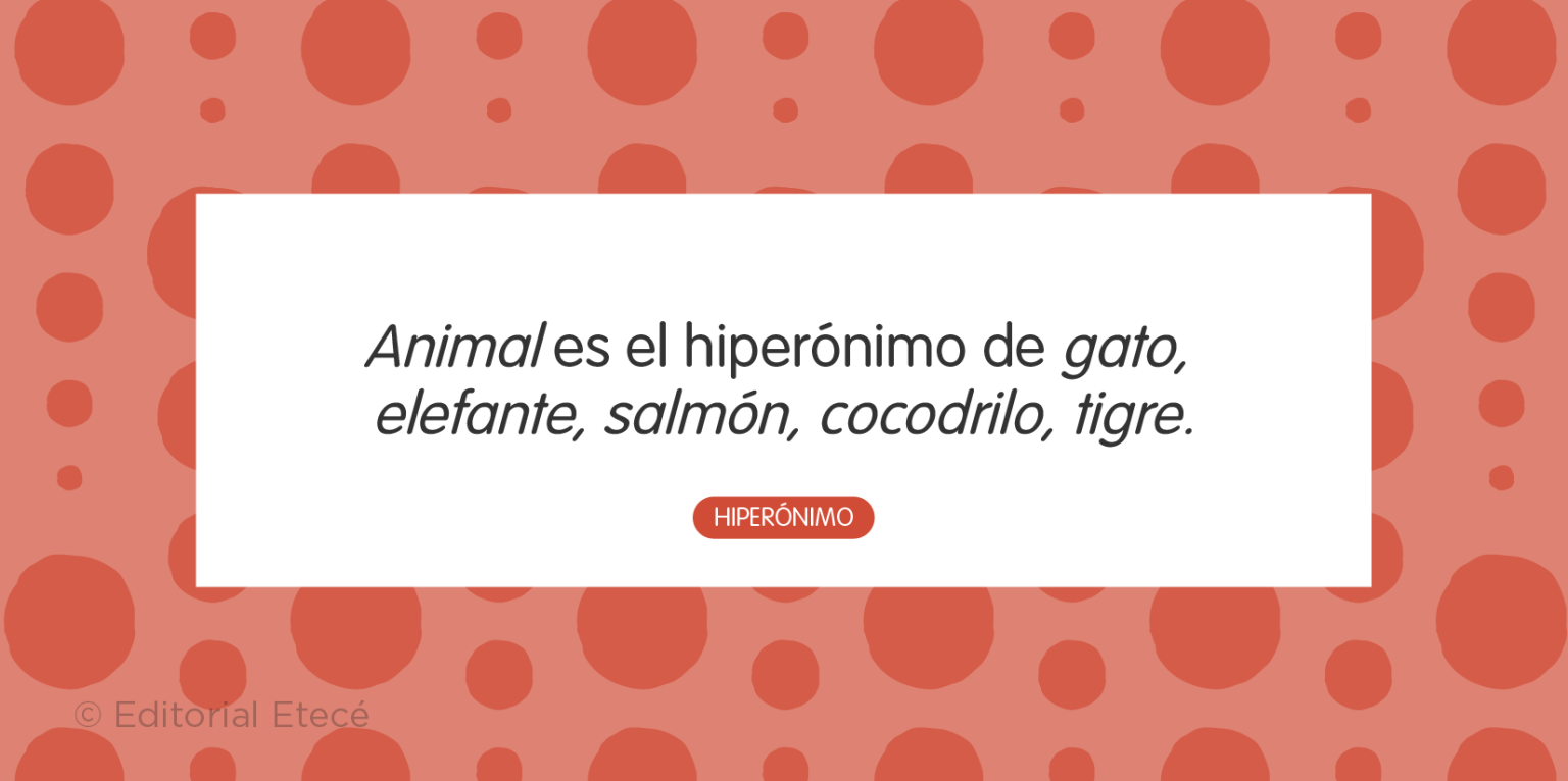 Hiperónimos - Cuáles son, función, usos y ejemplos