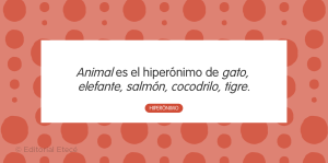 Hiperónimos - Cuáles son, función, usos y ejemplos