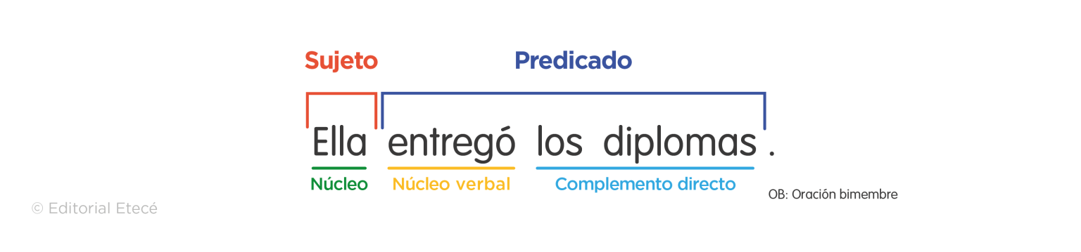 Complemento Directo - Concepto, cómo identificarlo y ejemplos