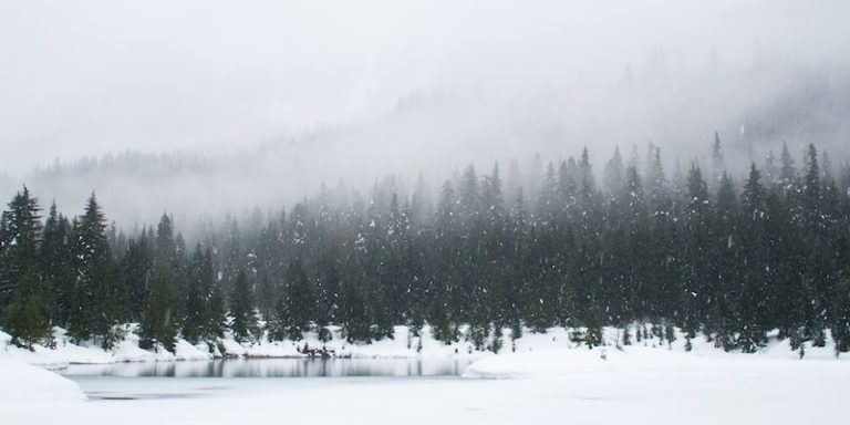 Precipitación (clima) - Qué es, tipos y cómo se mide