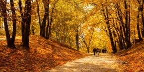 Otoño - Concepto, características y estaciones del año