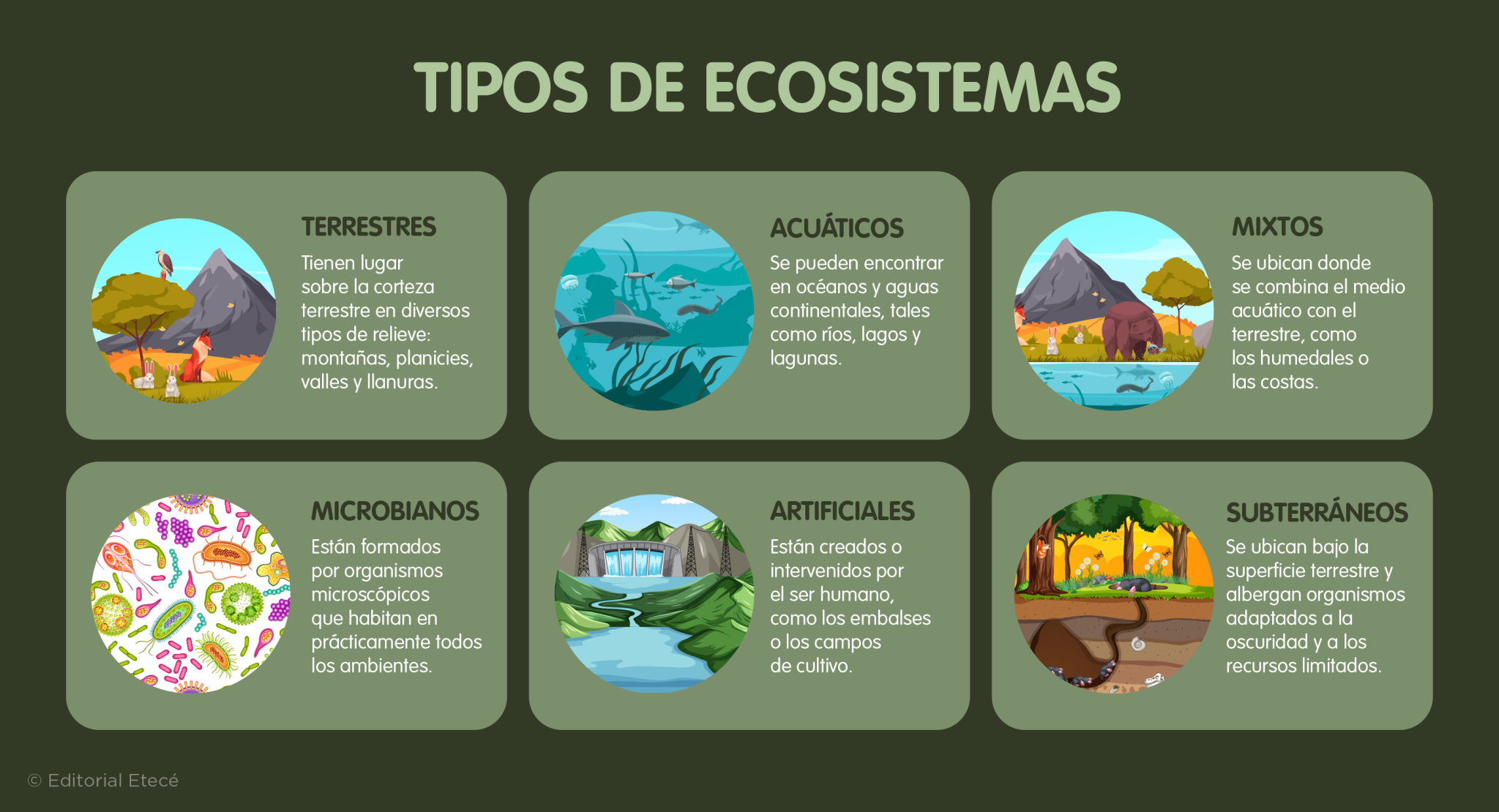 Tipos de ecosistemas - Cuáles son, características y ejemplos