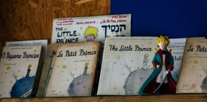 El Principito - Concepto, personajes, frases y autor