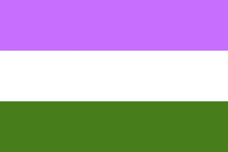 Queer Concepto Origen Bandera Y Teor a Queer Queer Concepto Origen Bandera Y Teor a Queer