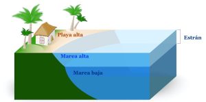 Playa - Concepto, tipos, formación, conservación y ejemplos