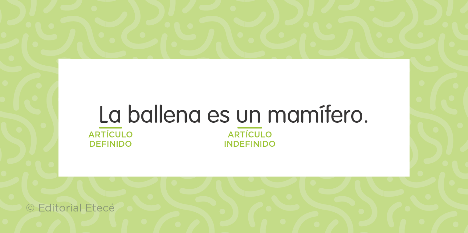 Artículos definidos e indefinidos - Qué son y ejemplos