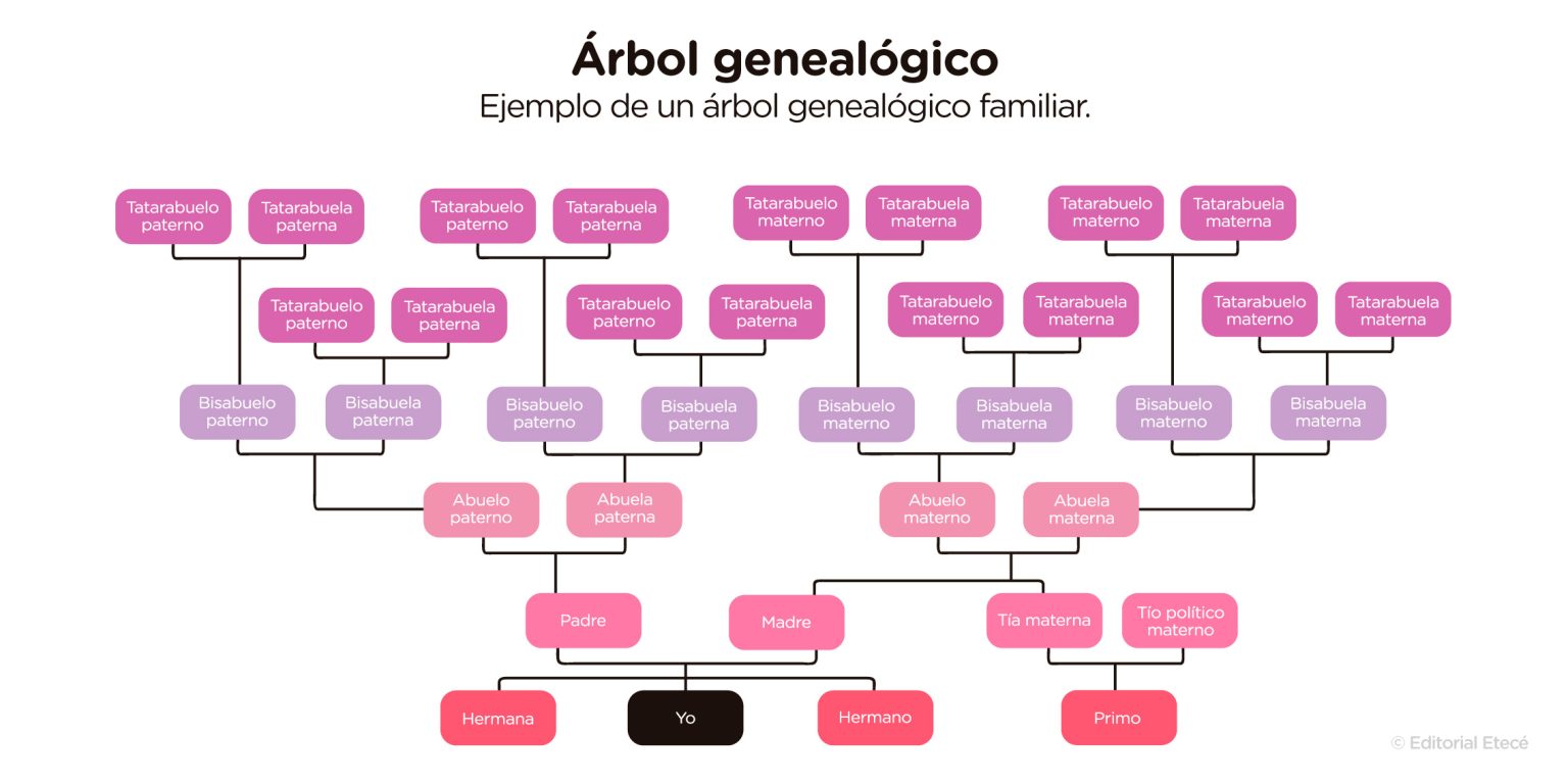 Organizadores Gráficos Qué Son Tipos Usos Y Ejemplos