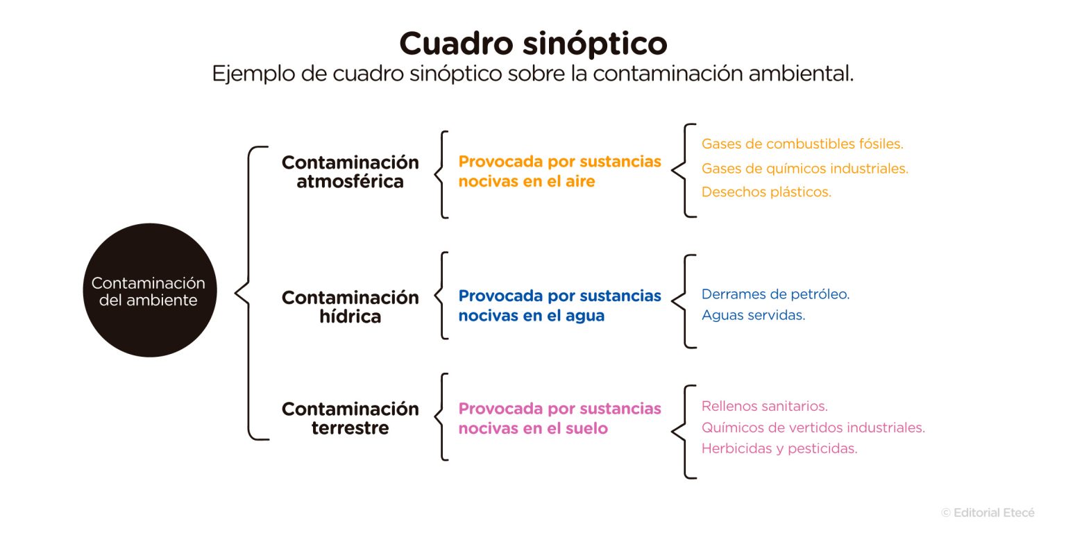 Organizadores gráficos: qué son, tipos, usos y ejemplos