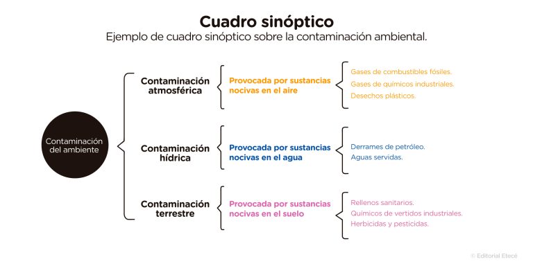 Organizadores gráficos: qué son, tipos, usos y ejemplos