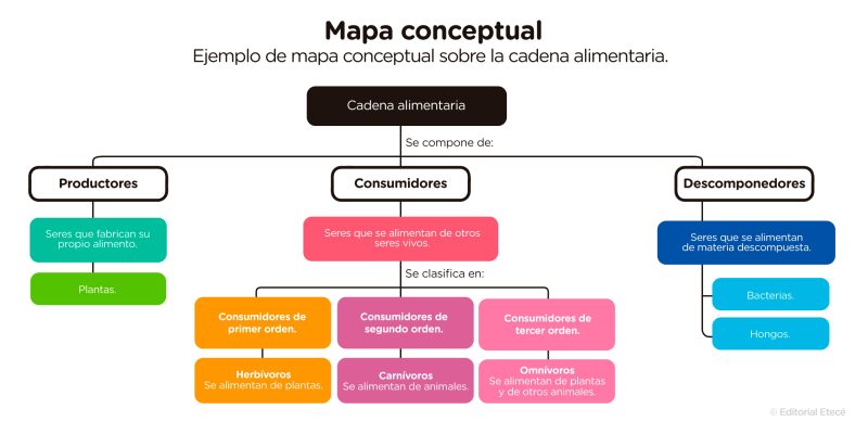 Organizadores gráficos: qué son, tipos, usos y ejemplos