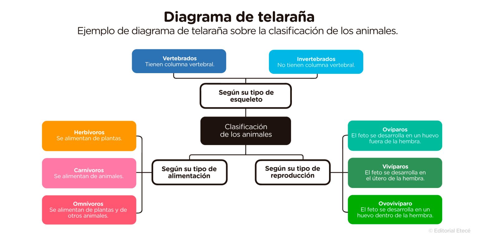 Organizadores gráficos: qué son, tipos, usos y ejemplos