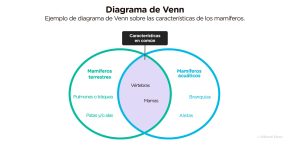 Diagrama de Venn - Qué es, cómo hacer uno y ejemplos