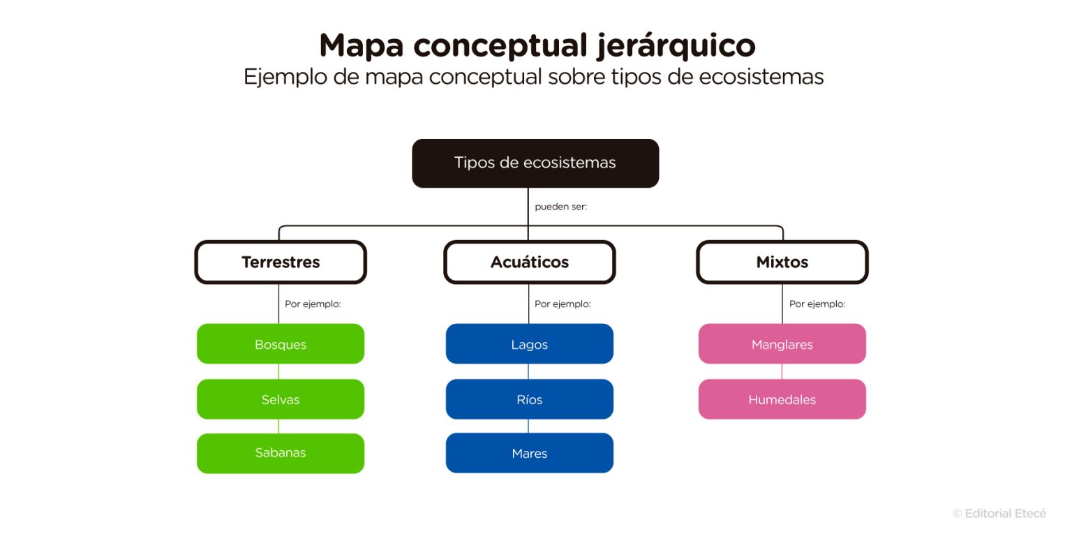 Diagrama - Qué es, características, tipos y cómo hacerlo