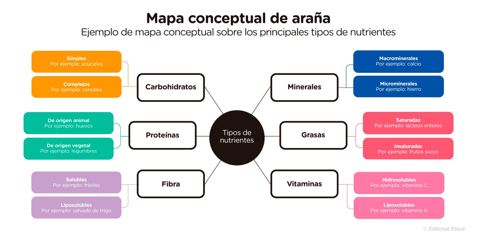 Mapa conceptual - Qué es, cómo hacer uno y ejemplos