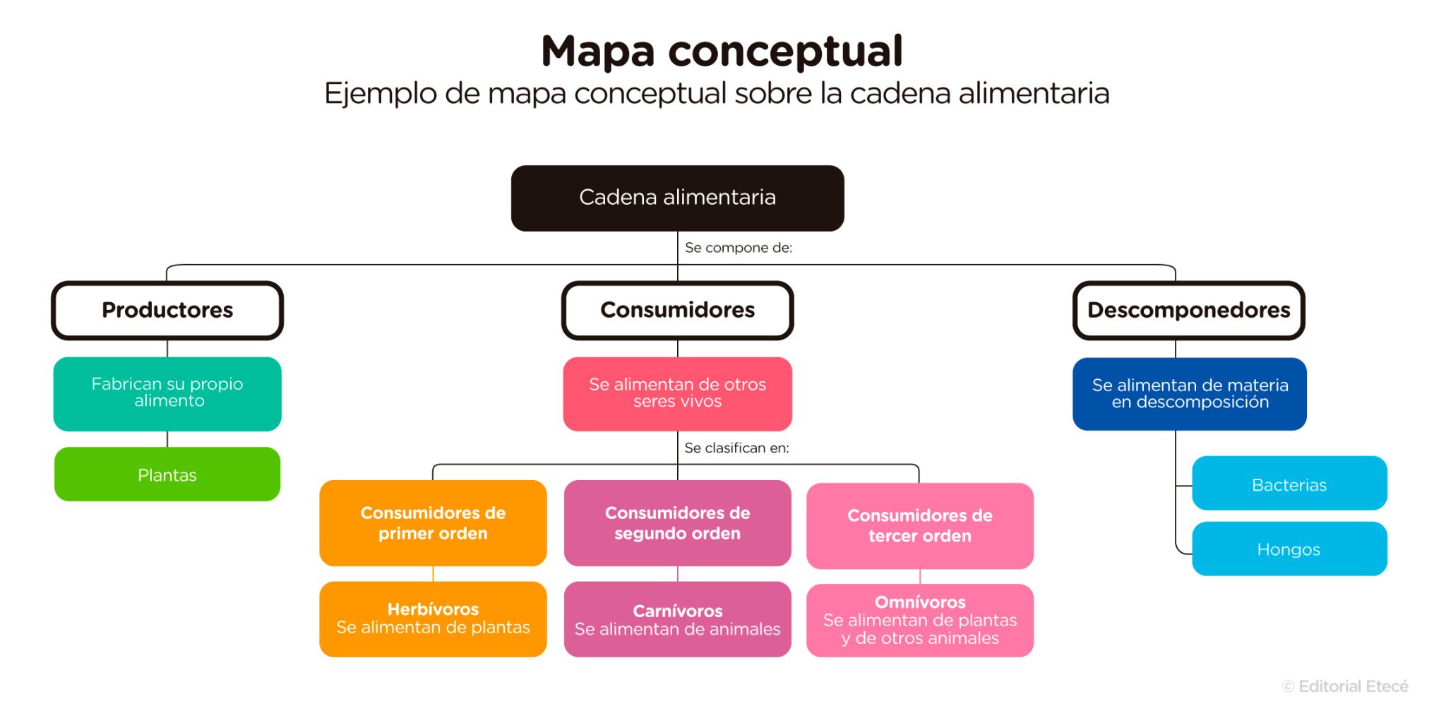mapa conceitual - Explicado.net