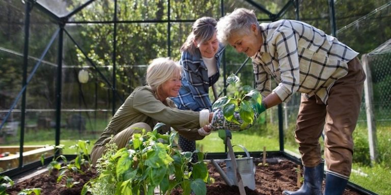 Valores de una persona: qué son, cuáles son y ejemplos