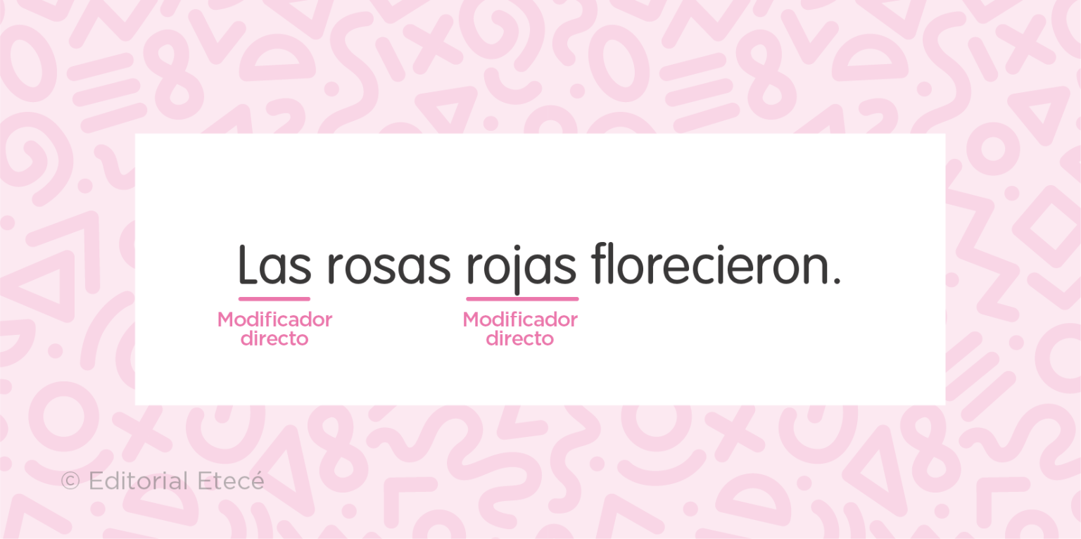 Modificador directo - Concepto, ejemplos y modificadores