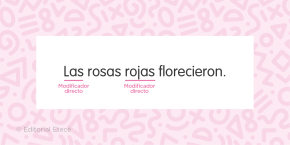 Modificador directo - Concepto, ejemplos y modificadores