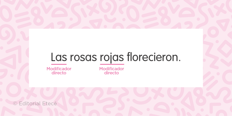 Modificador directo - Concepto, ejemplos y modificadores