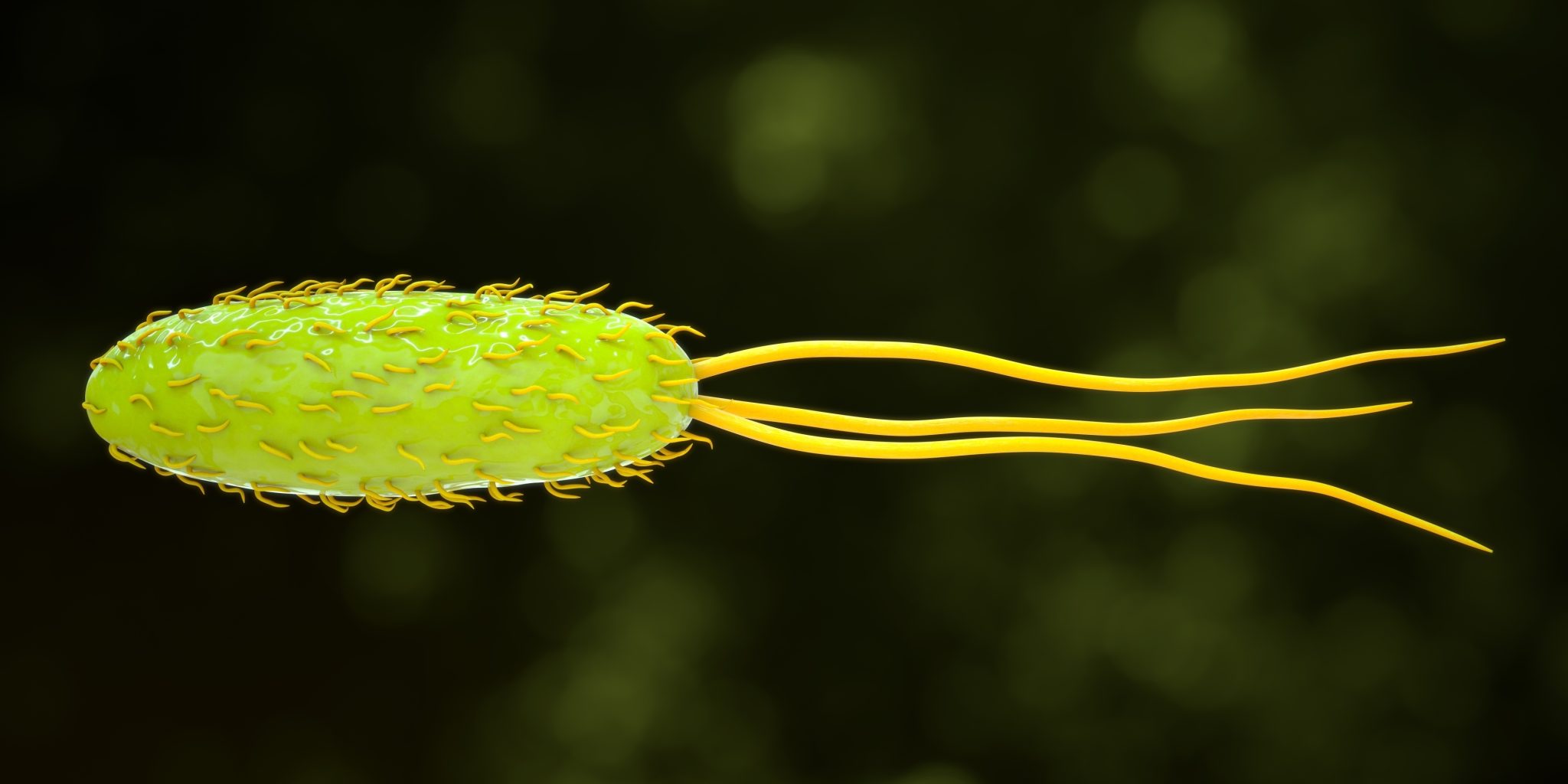 Arqueas (o Archaea) - Qué son, características y tipos