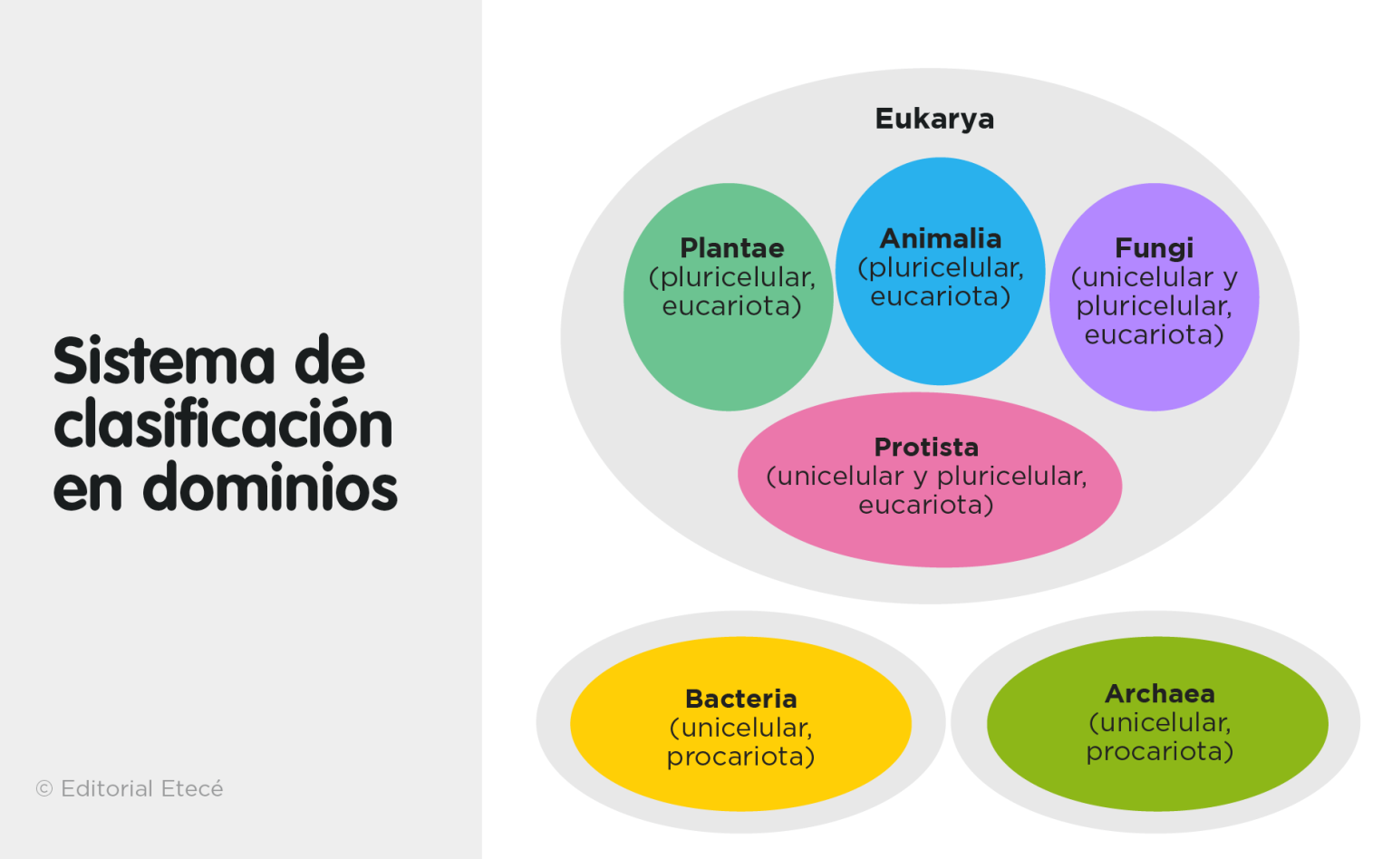 Arqueas (o Archaea) - Qué son, características y tipos